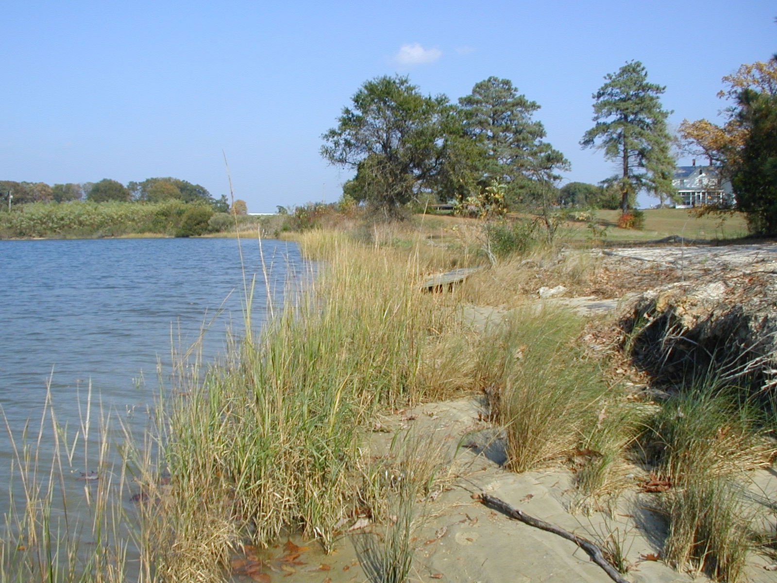 Living Shoreline Design Class Living Shoreline Design Class