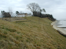 Living Shorelines