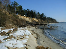 Living Shorelines