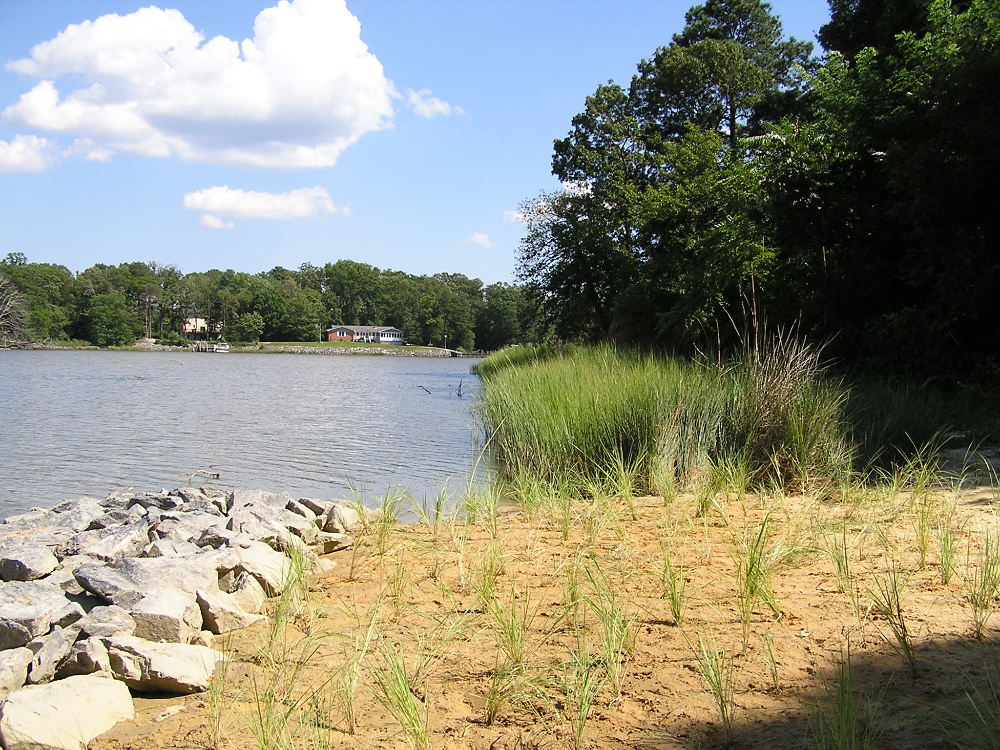 Living Shorelines